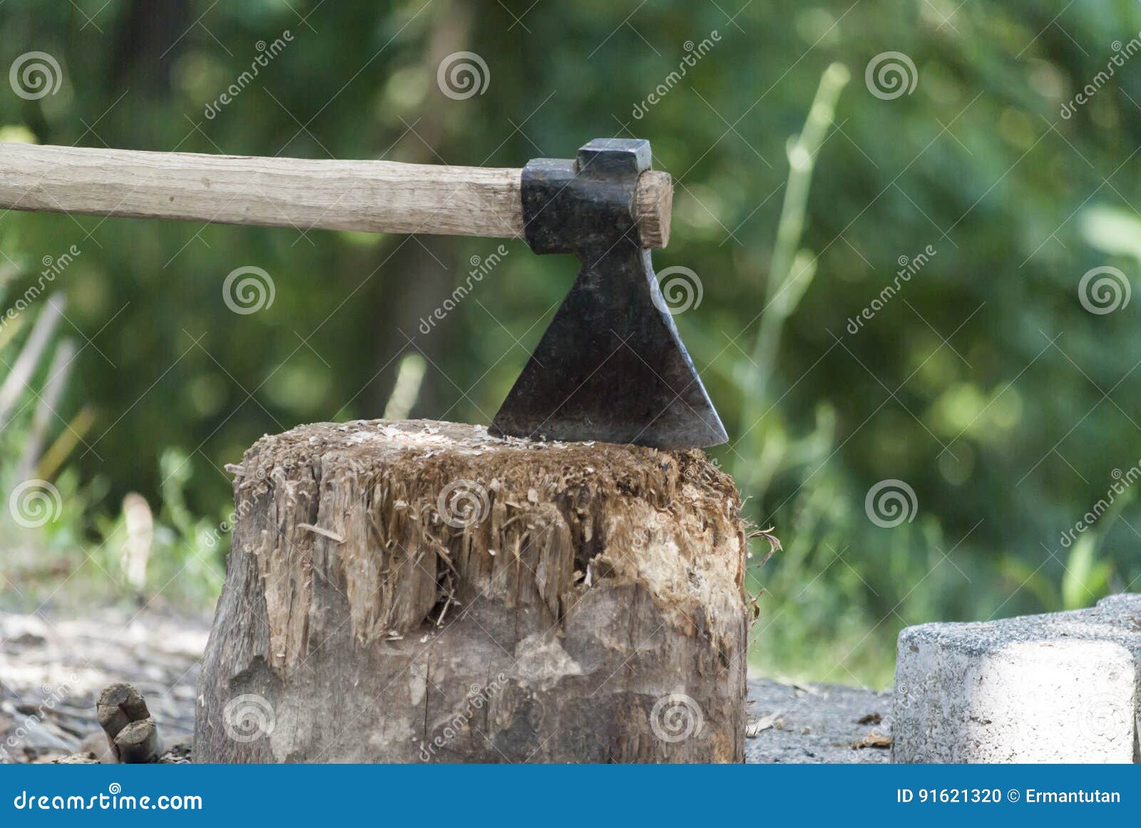 Classic lumberjack axe stock photo. Image of plant, flying - 91621320