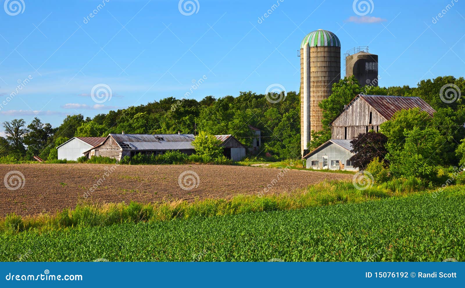 Classic Ontario Rural Scenery Stock Photo - Image of scene, grass: 15076192