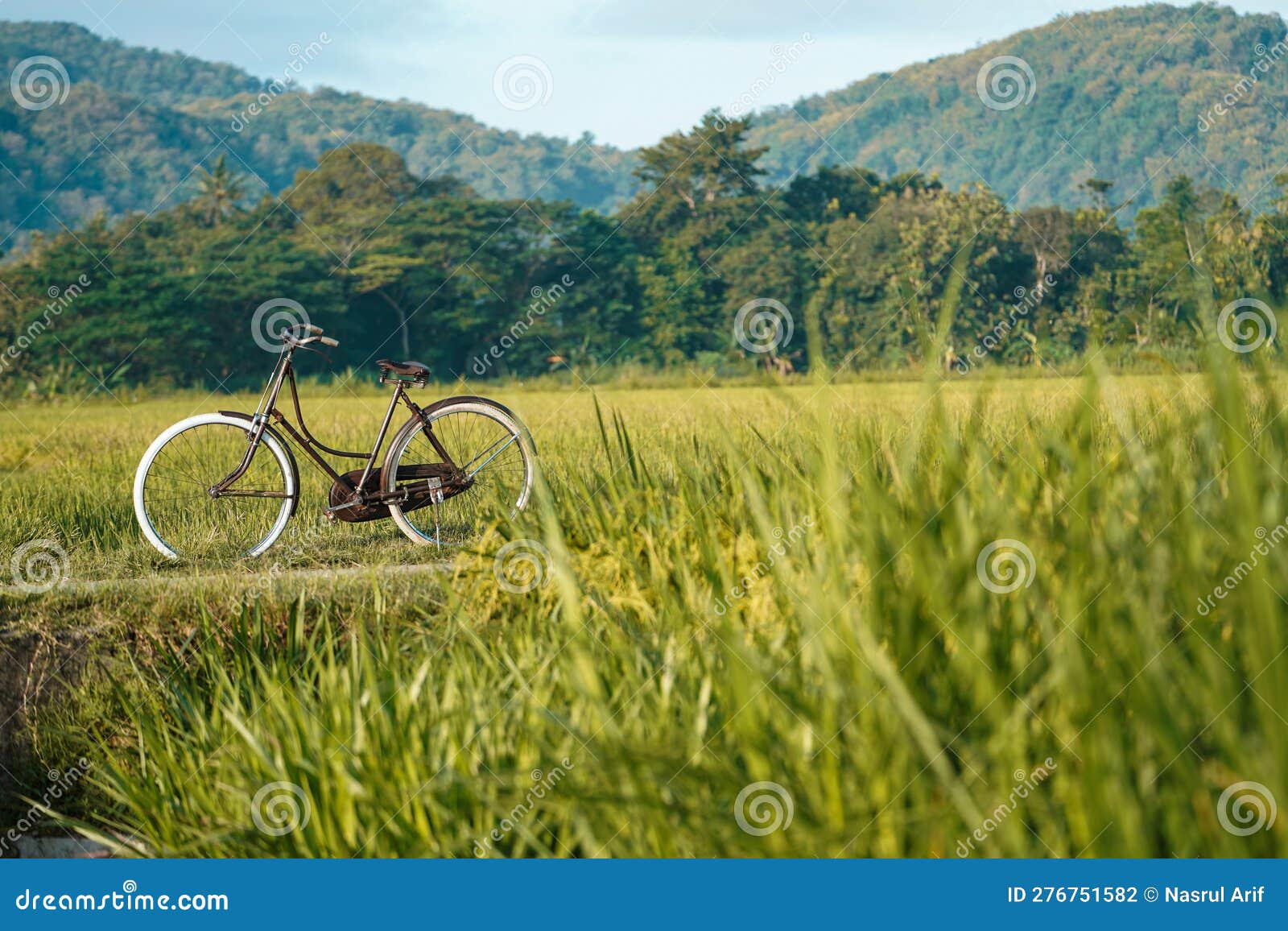 Classic Onthel Bicycles that are Displayed on Village Roads Around the ...
