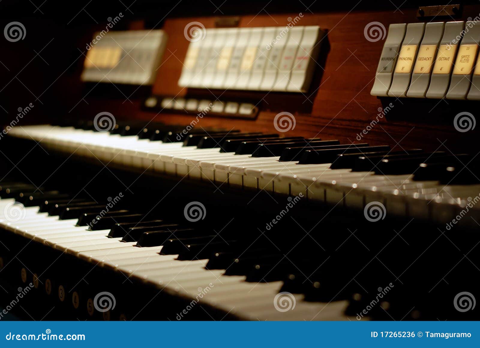 Classic organ keyboard stock photo. Image of instrument - 17265236