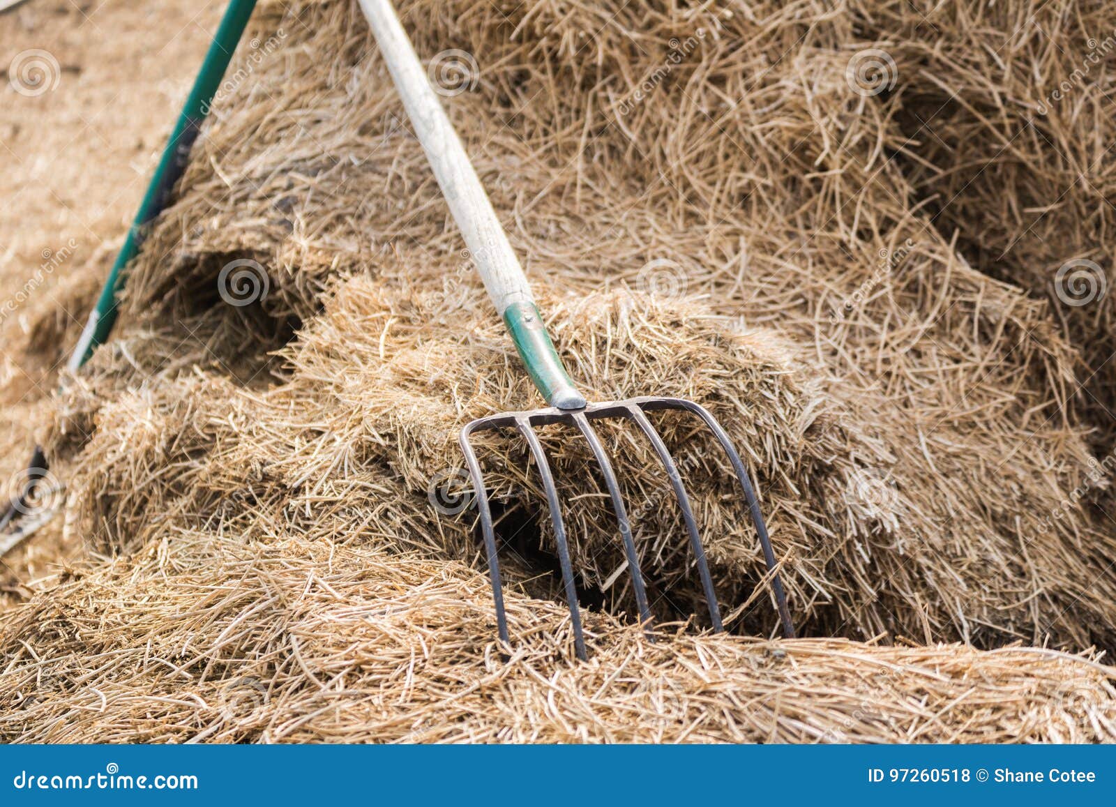 Pitchfork Hay