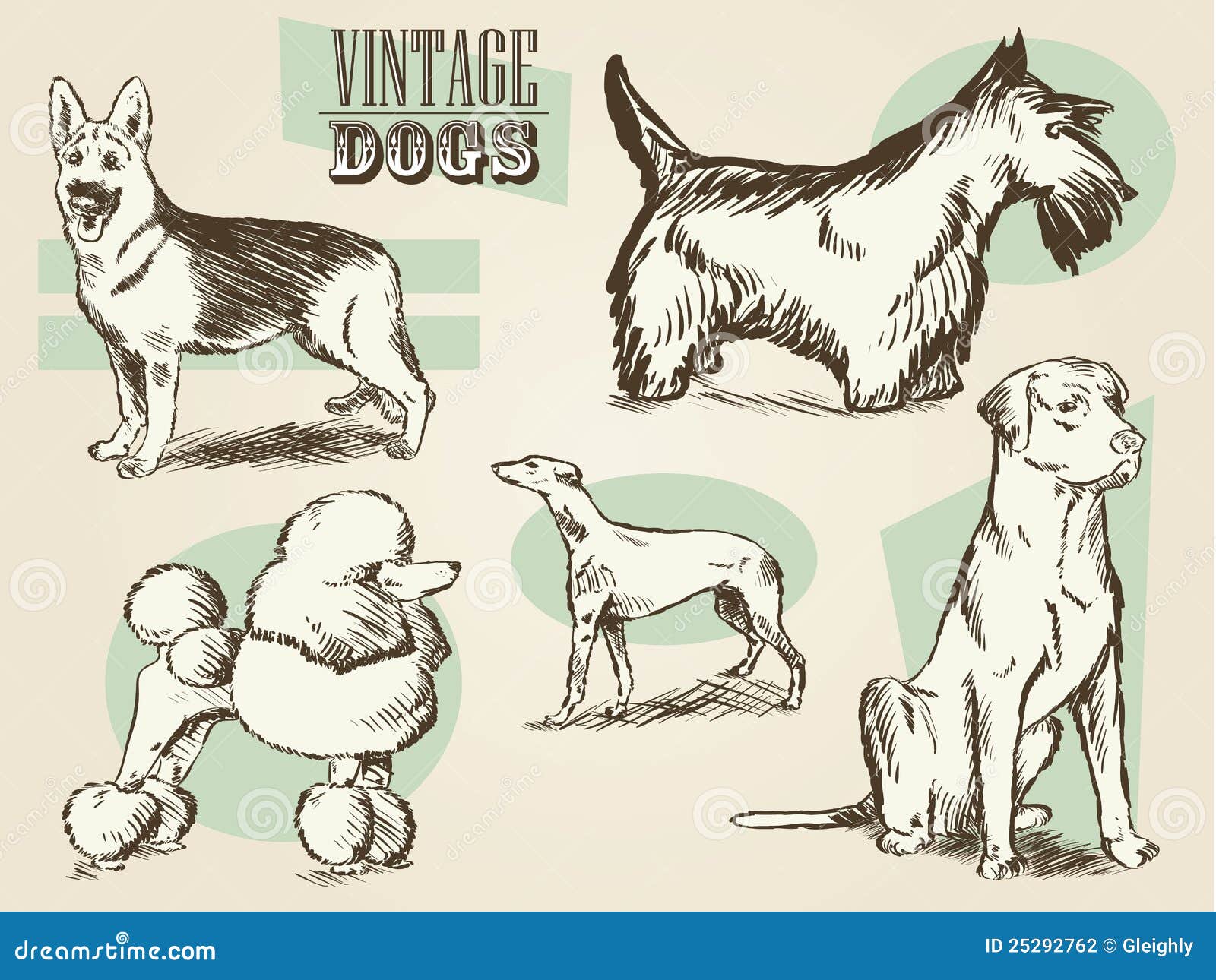 Classic Retro Ornate Dog Collection Stock Vector - Illustration of ...