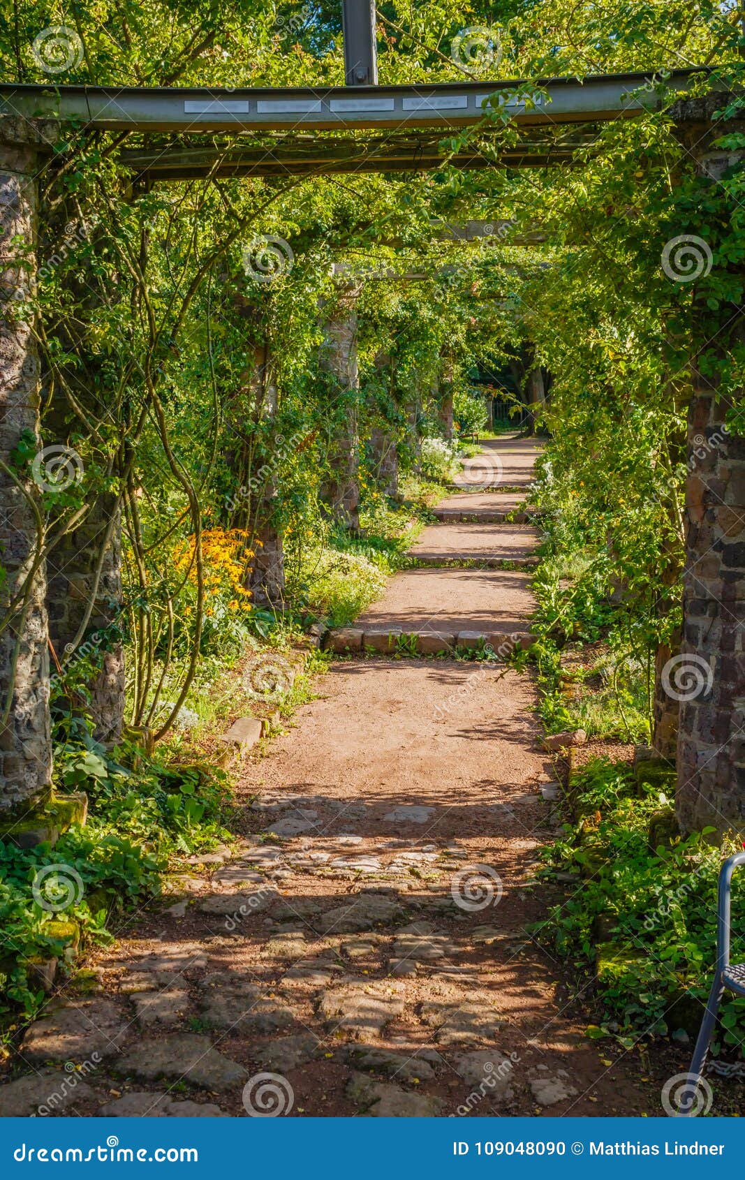 Classic rose arch stock photo. Image of flora, landscape - 109048090