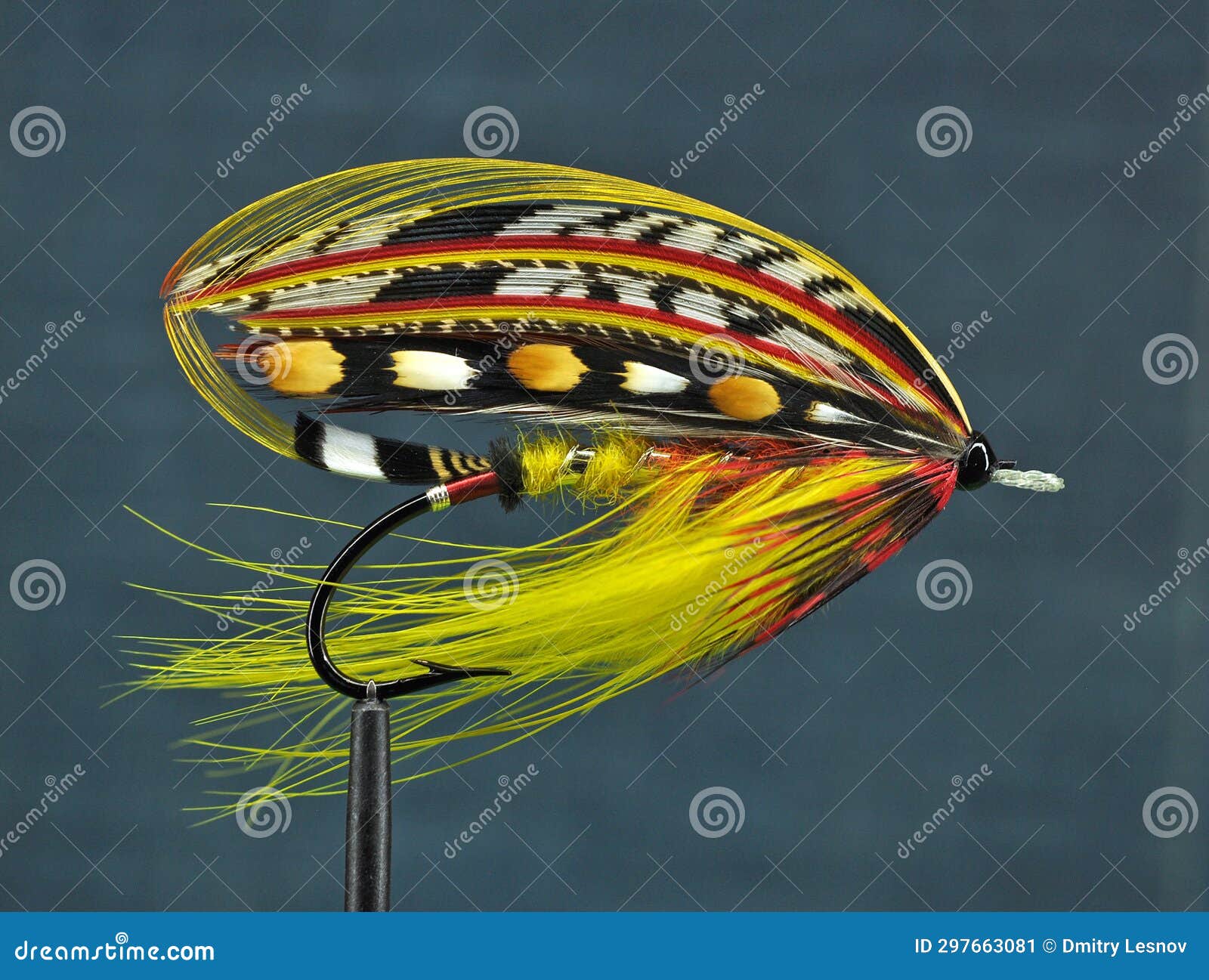 Classic Salmon Fly stock image. Image of classic, hook - 297663081