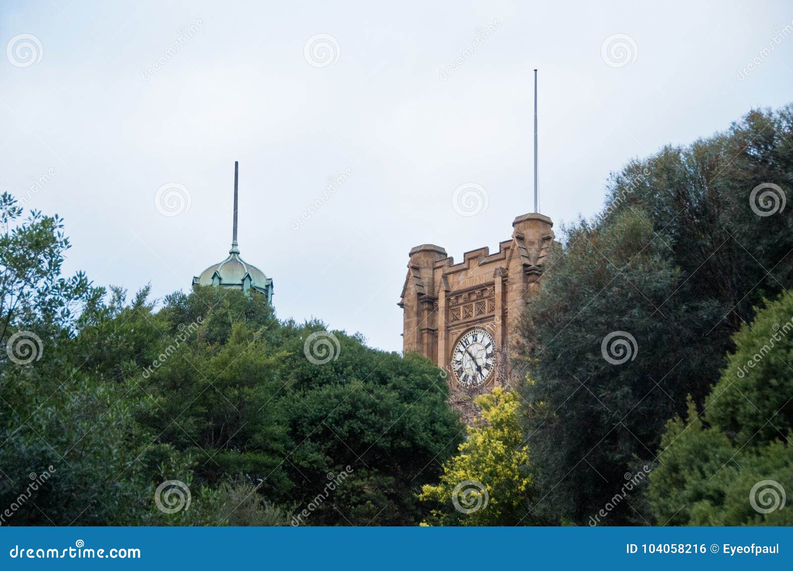 Classic Sandstone Clock Tower in a Forest Stock Photo - Image of grass ...