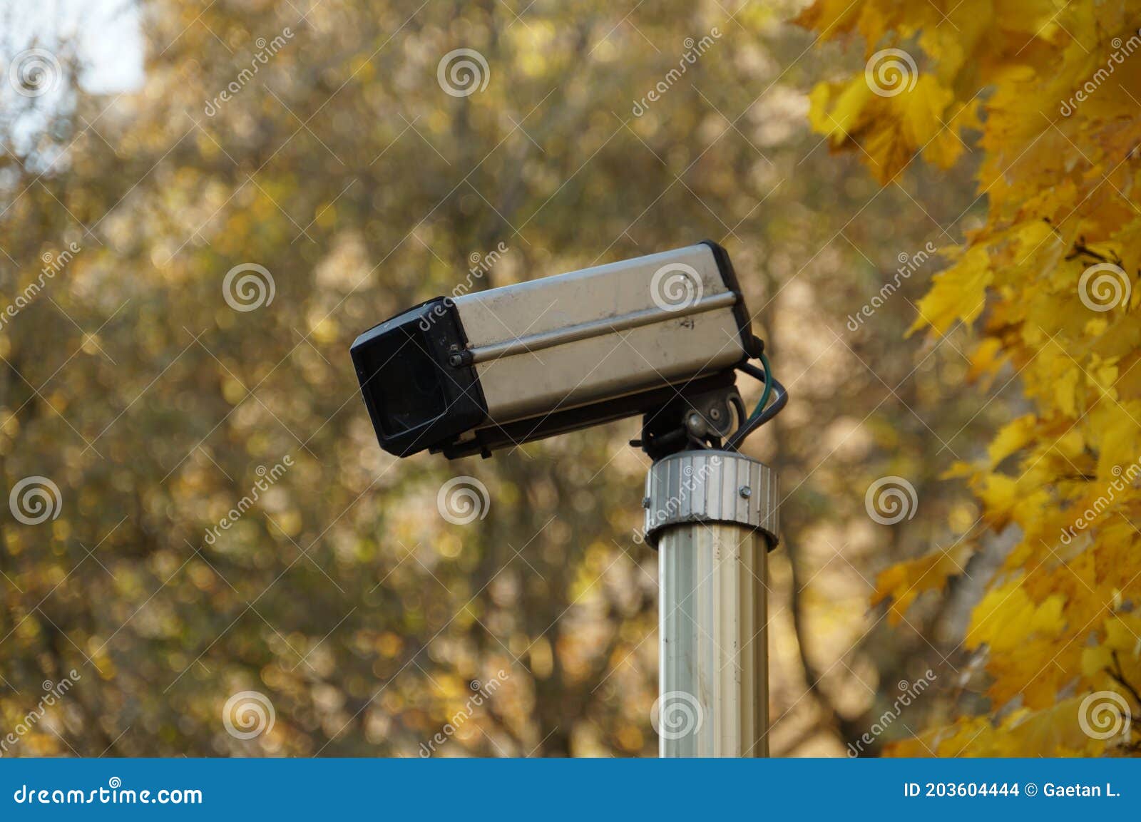 CCTV With Leaves On Background Royalty-Free Stock Image | CartoonDealer ...