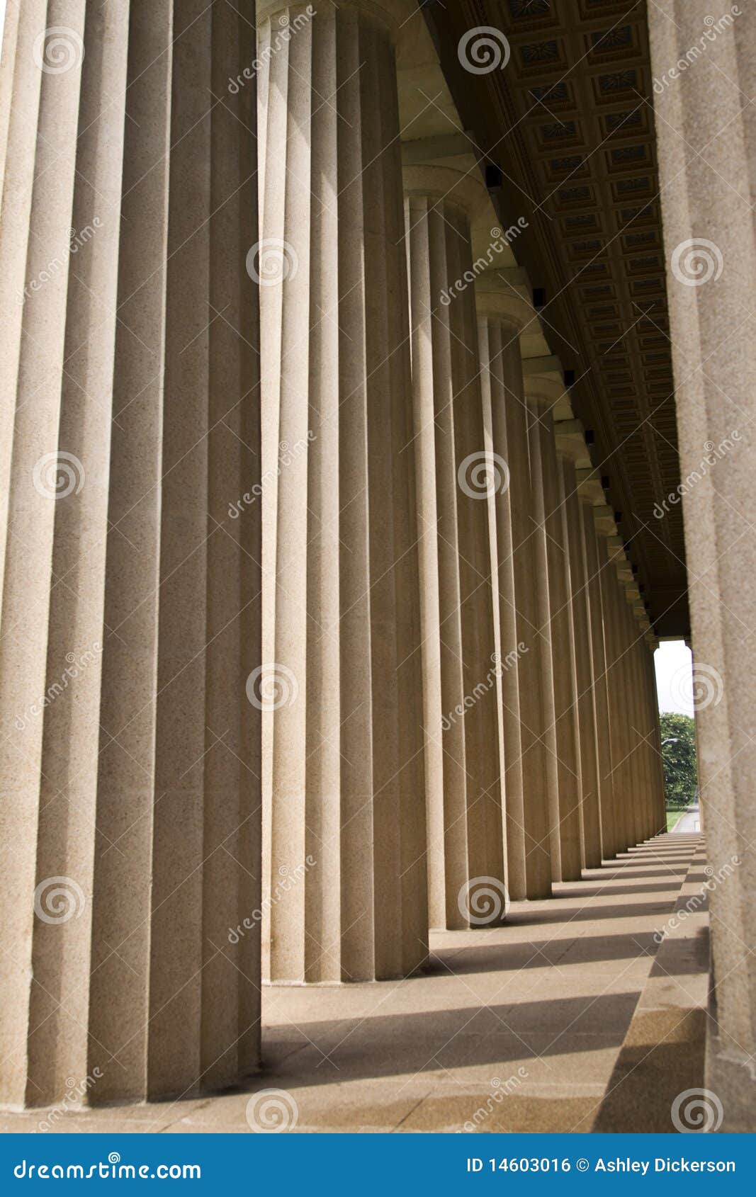 Classic Style Columns stock photo. Image of light, columns - 14603016