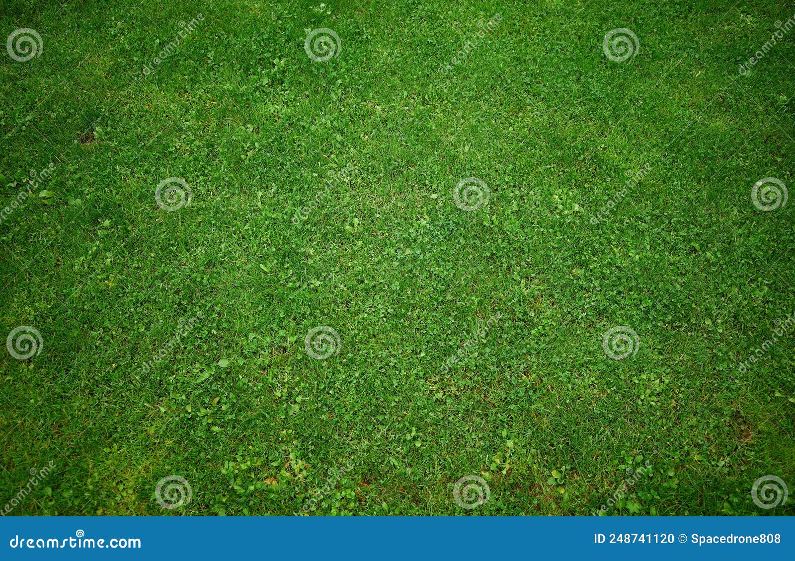 Classic Summer Green Grass Texture Stock Photo - Image of design ...