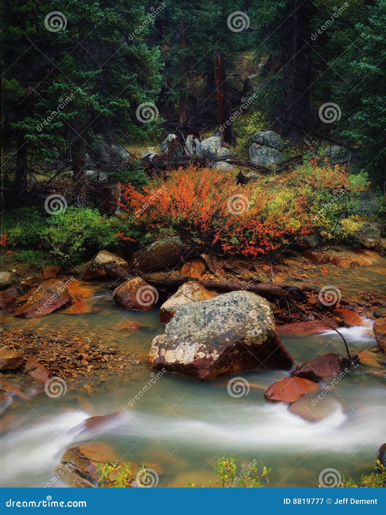 Classic Summer Mountain Scene after Rain, Colorado Stock Image - Image ...