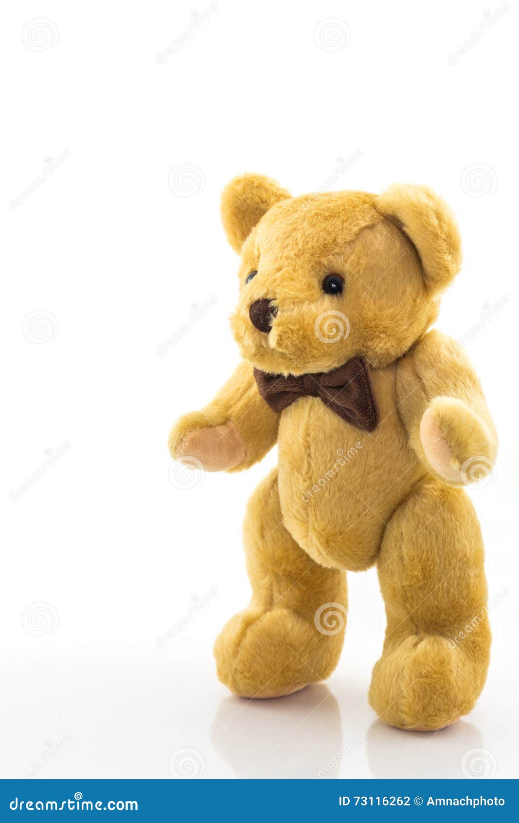 Classic teddy bear. stock photo. Image of decoration - 73116262