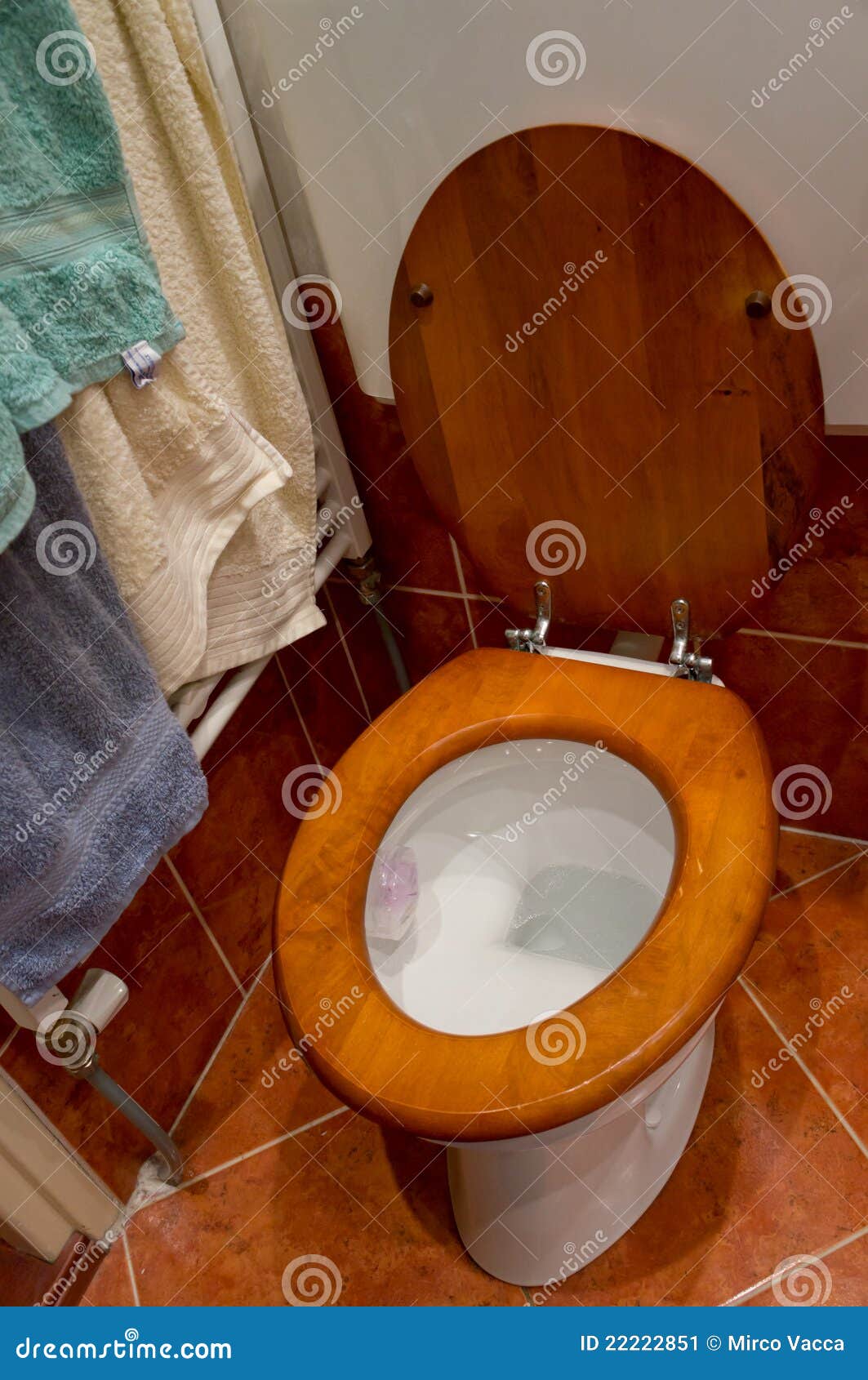 Classic toilet stock image. Image of restroom, wooden - 22222851