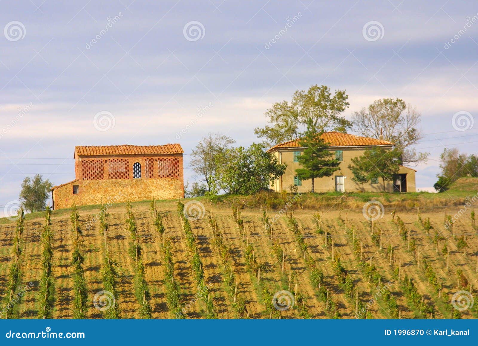 Classic Tuscan Farmhouse stock photo. Image of green, house - 1996870