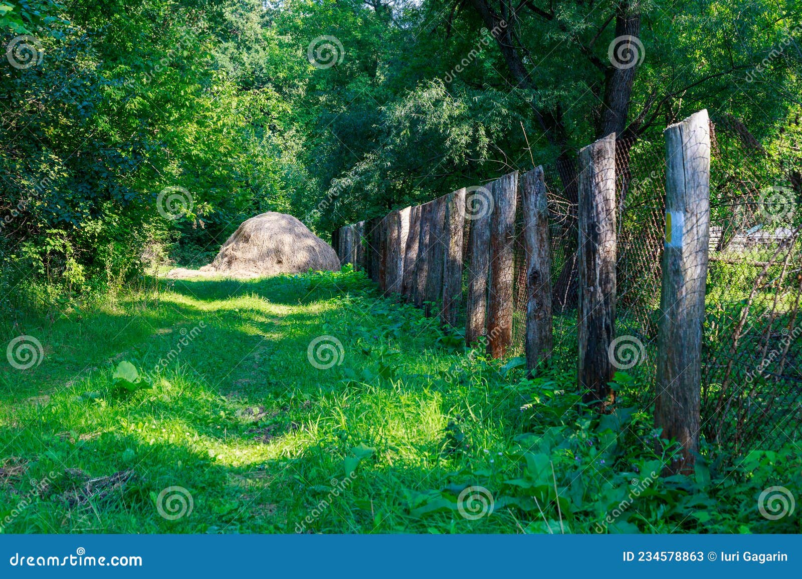 Classic Typical Haystack in a Village Near the Farm Fence. Selective ...