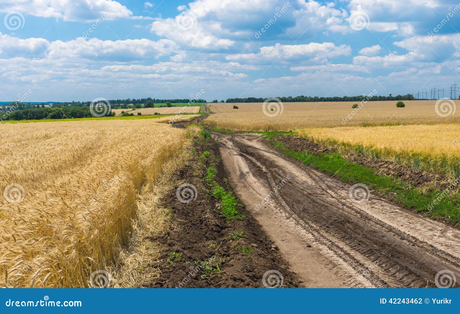Classic Ukrainian Rural Landscape Stock Photo - Image of picturesque ...