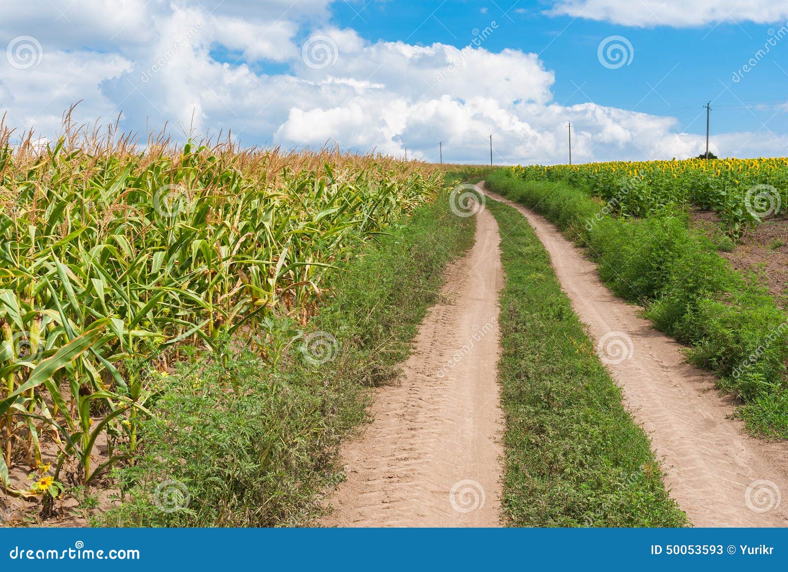Classic Ukrainian Rural Landscape with Road among Fields Stock Image ...