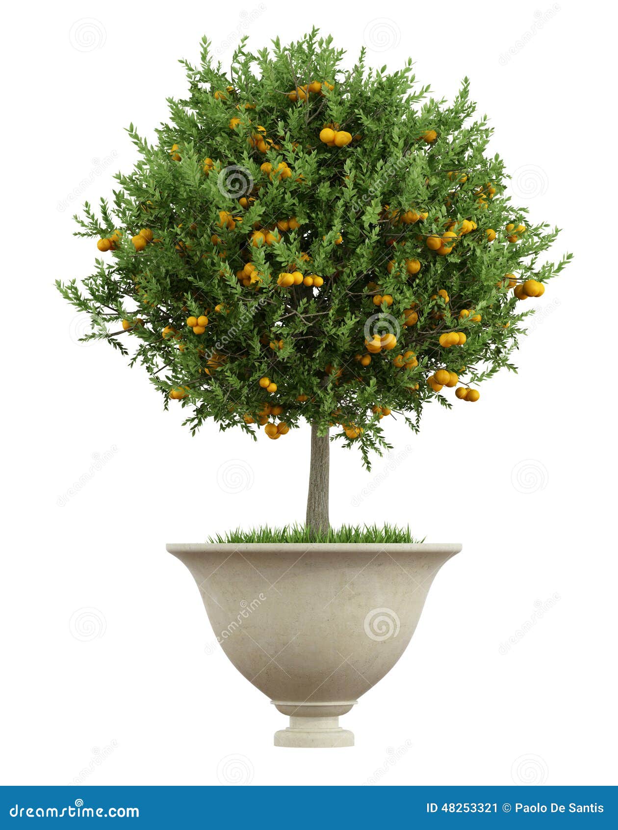 Classic Vase with Small Orange Tree - 3D Rendering Stock Illustration ...