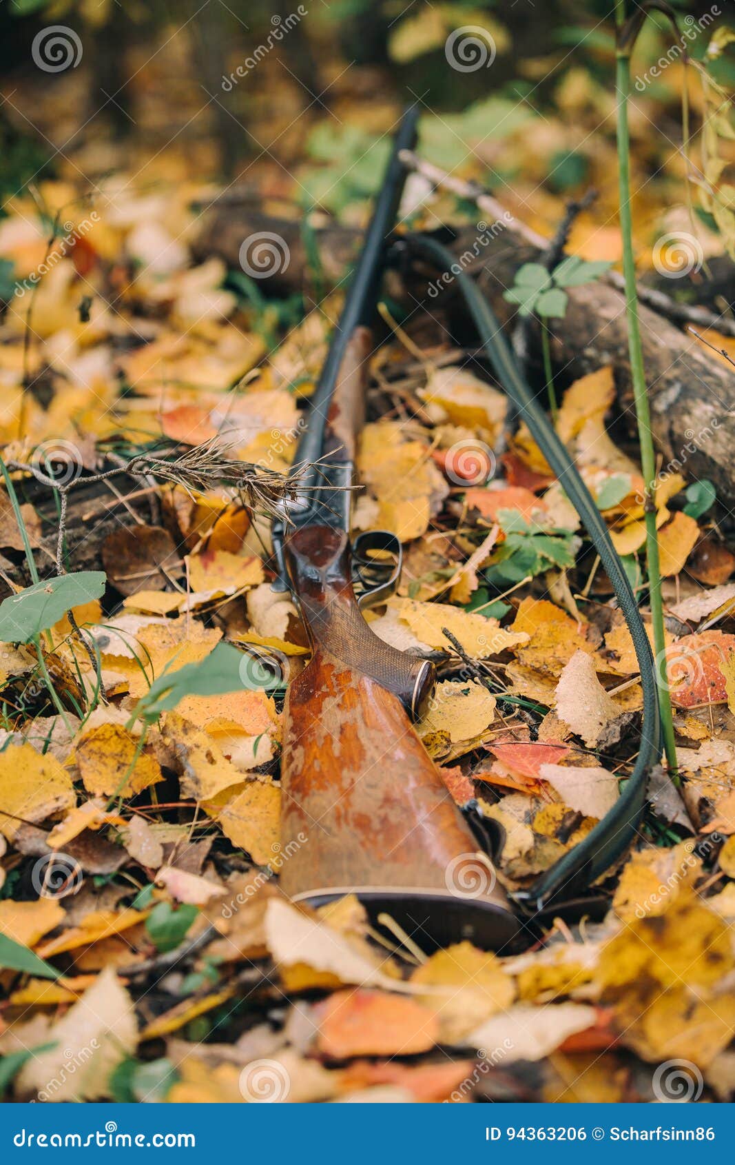 Classic Vertical Two Barrels Hunting Rifle Stock Photo - Image of ...