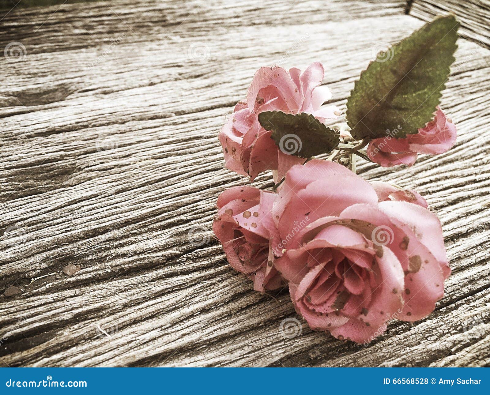 Classic Vintage Rose on Wood Table Stock Photo - Image of pink, classic ...