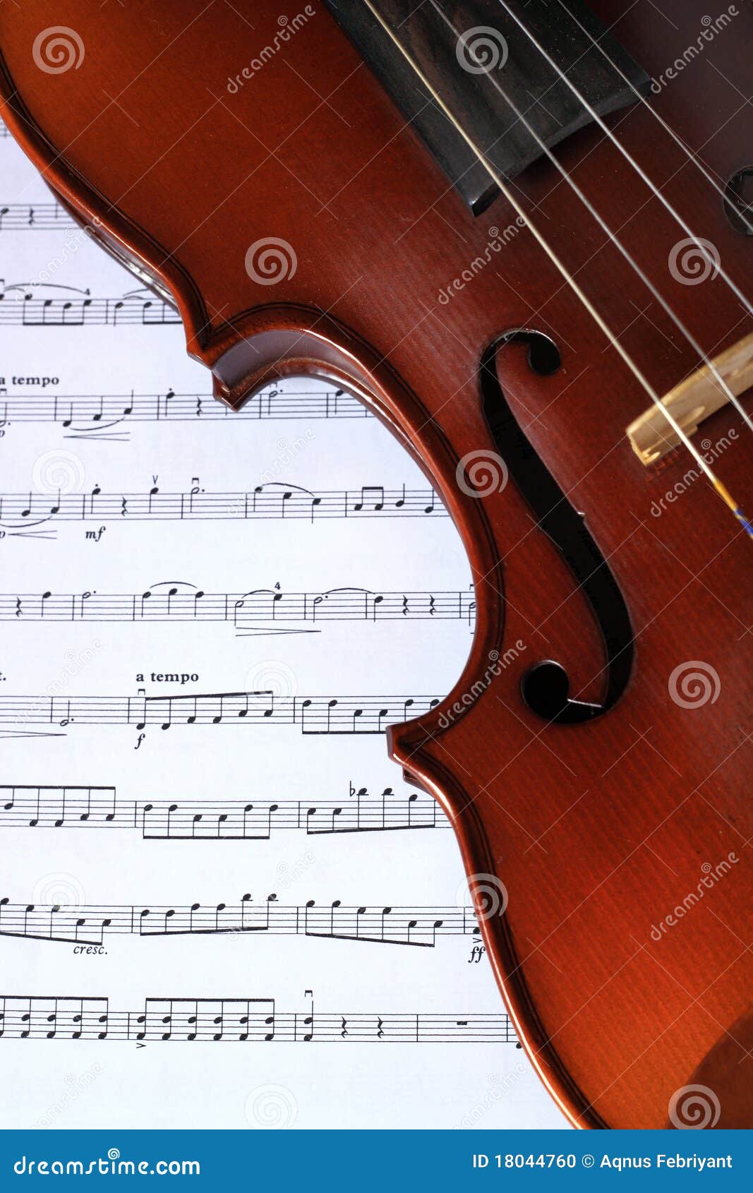 Classic Violin stock photo. Image of violin, music, note - 18044760