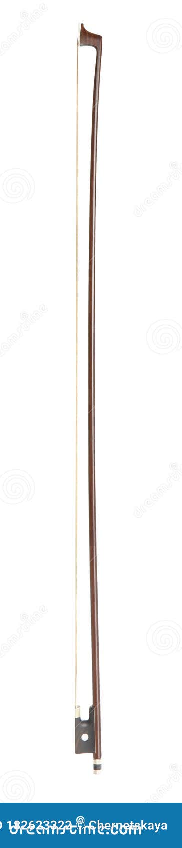 Classic Violin Bow Isolated. Musical Instrument Stock Photo - Image of ...