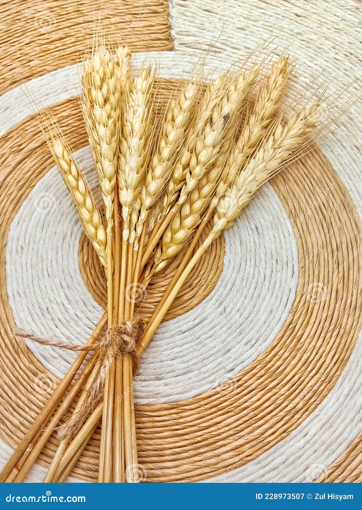 Classic Wheat Tree Decoration. Stock Image - Image of tree, effect ...