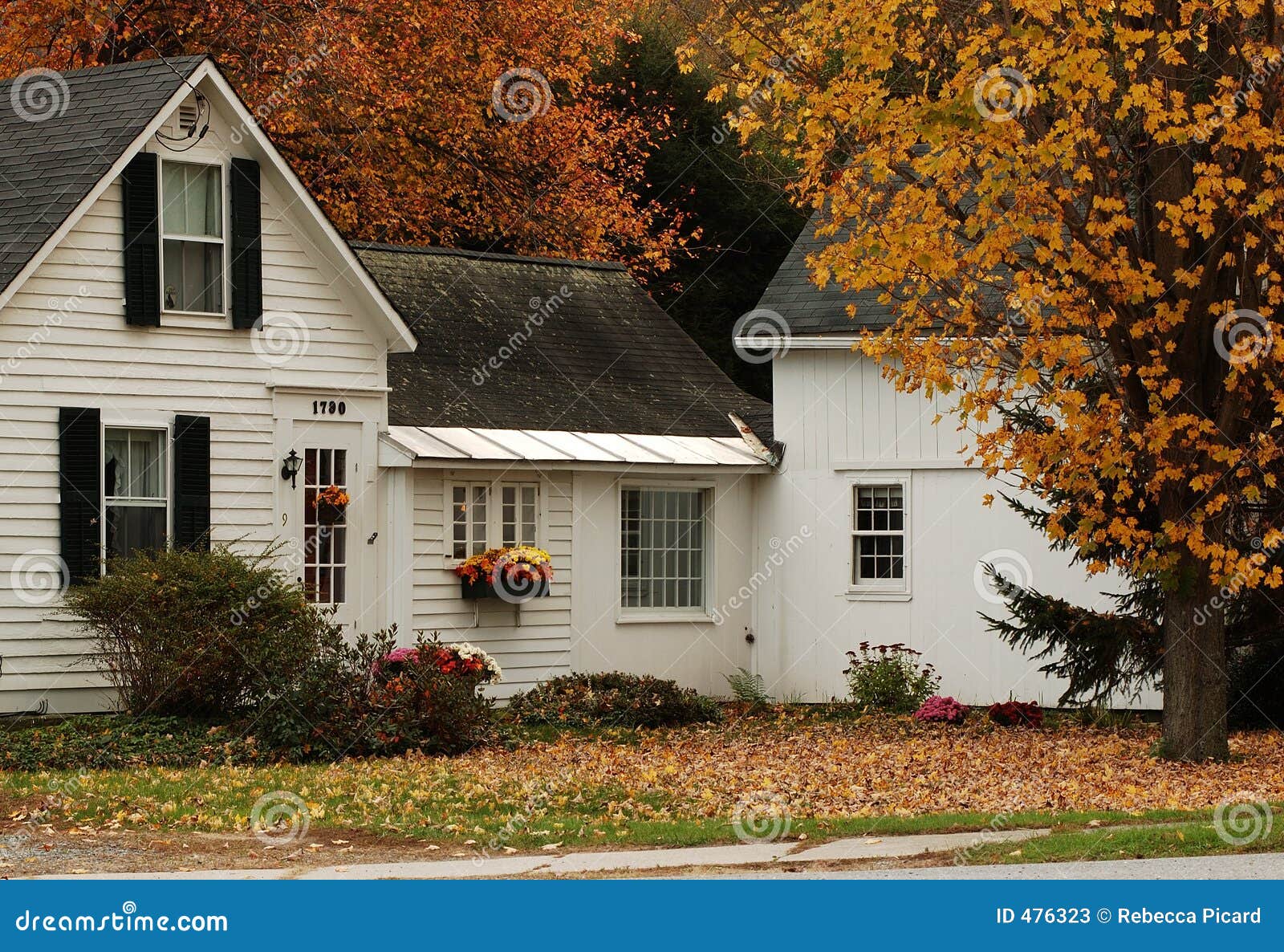 Classic White Farmhouse stock image. Image of cows, travel - 476323