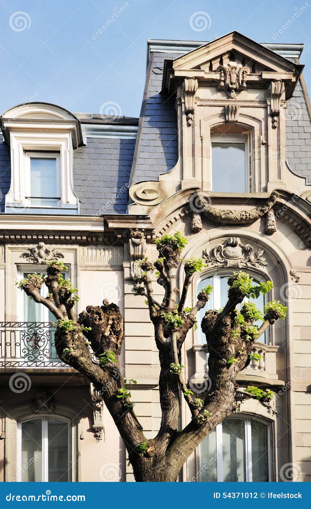 Classic Windows of a Luxury Building Facade in Paris, France. Stock ...