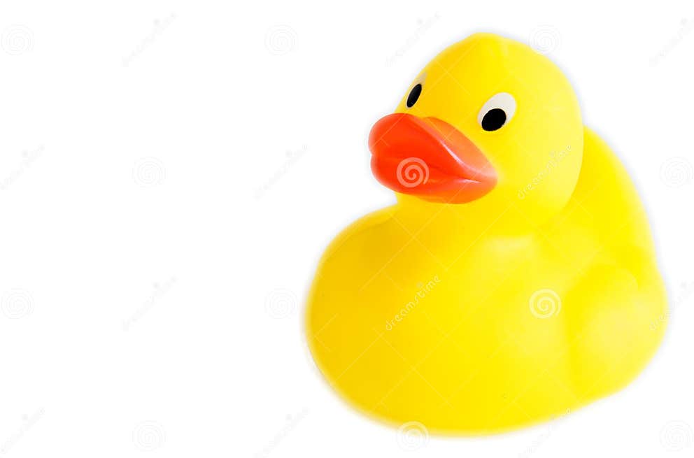 Classic Yellow Plastic Duck Stock Image - Image of aquatic, isolation ...