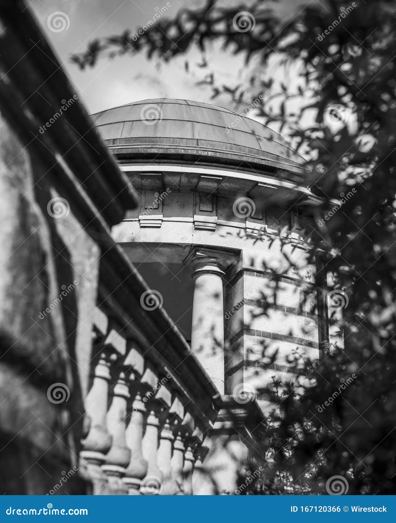 Classical Architecture with Tree Stock Photo - Image of bush, greyscale ...