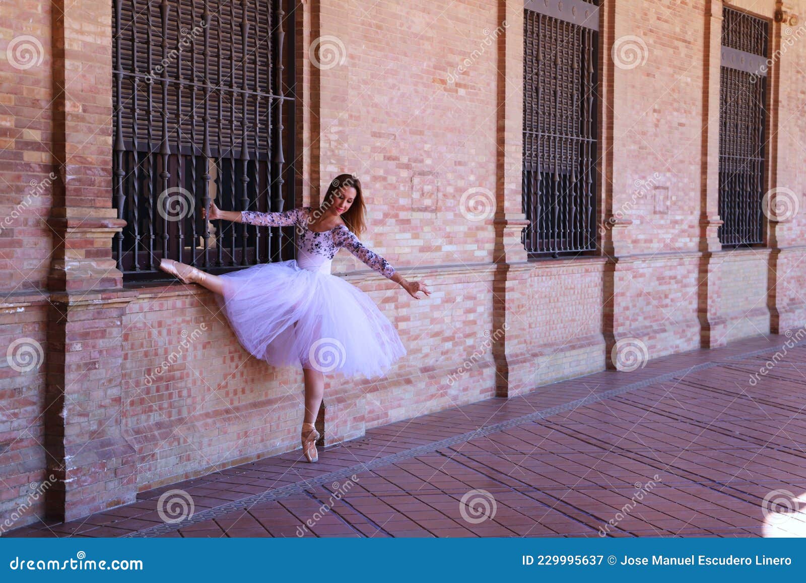 Classical Ballet Dancer Dancing And Doing Different Ballet Postures
