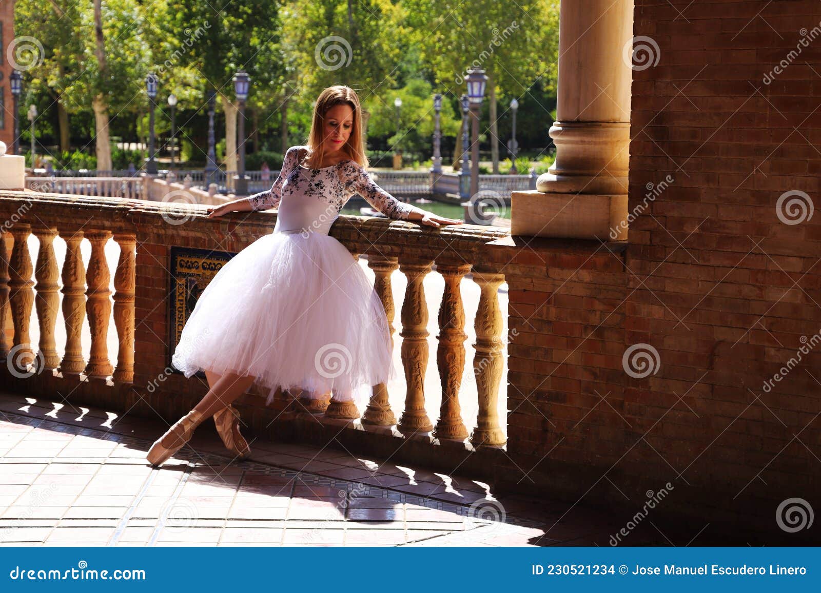 Classical Ballet Dancer Dressed in a White Tutu Leaning on the Railing ...