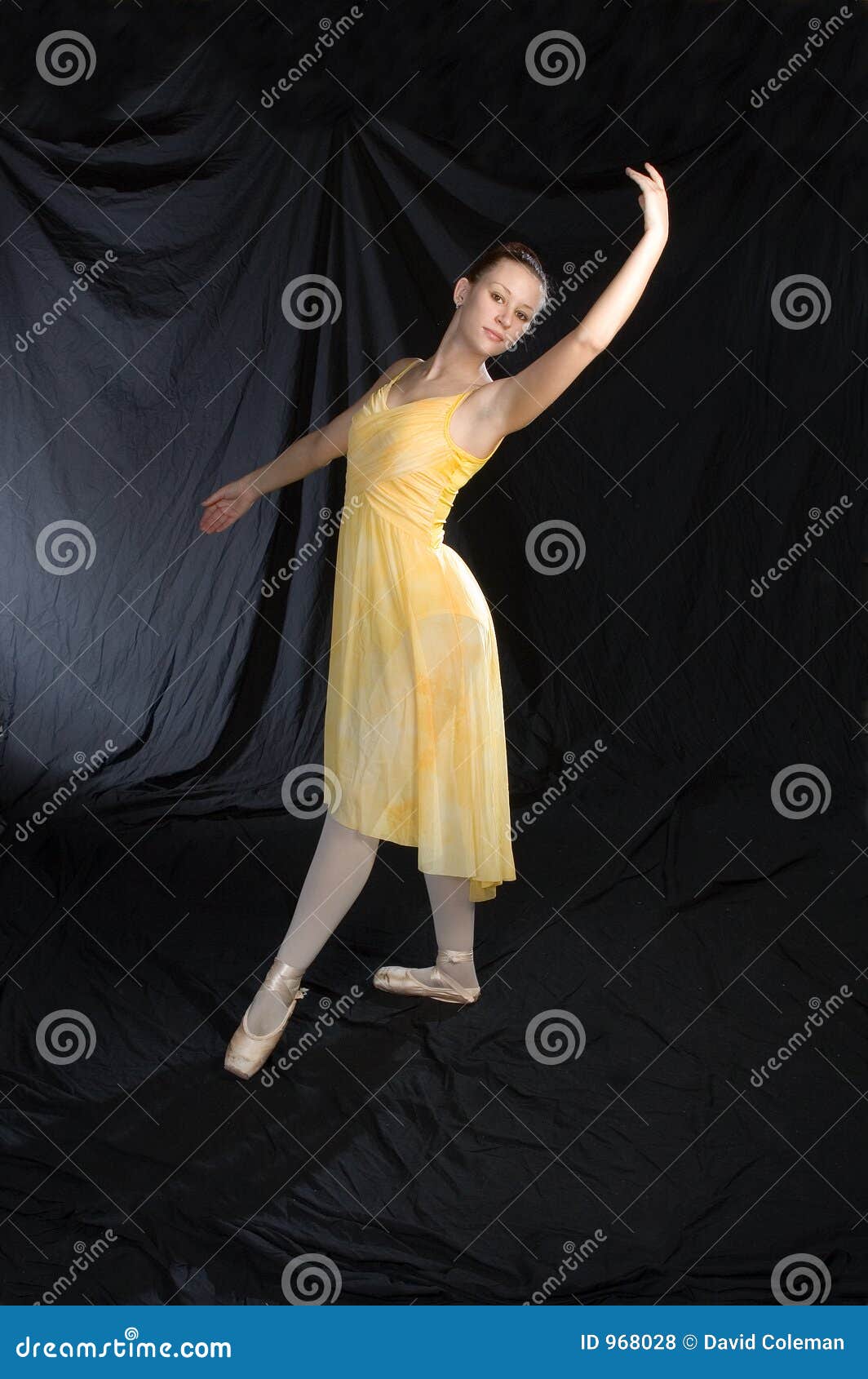 Classical Ballet Pose stock photo. Image of yellow, graceful - 968028