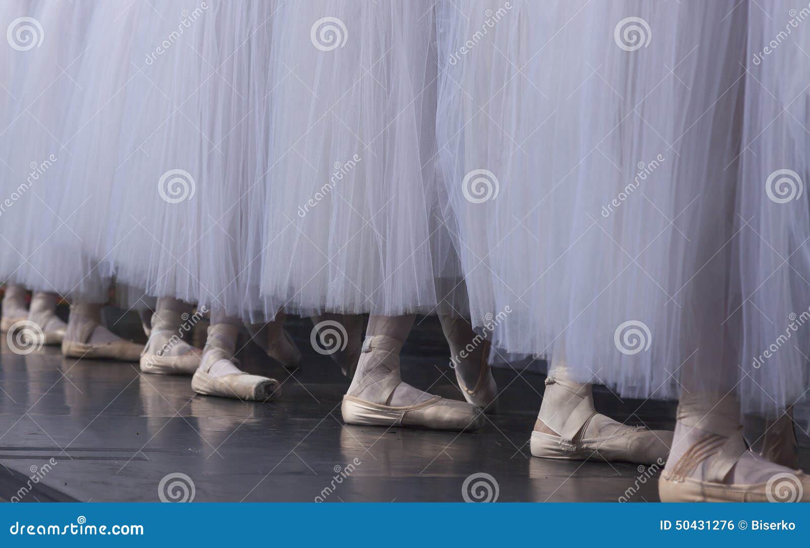 Classical ballet stock photo. Image of dance, formal - 50431276