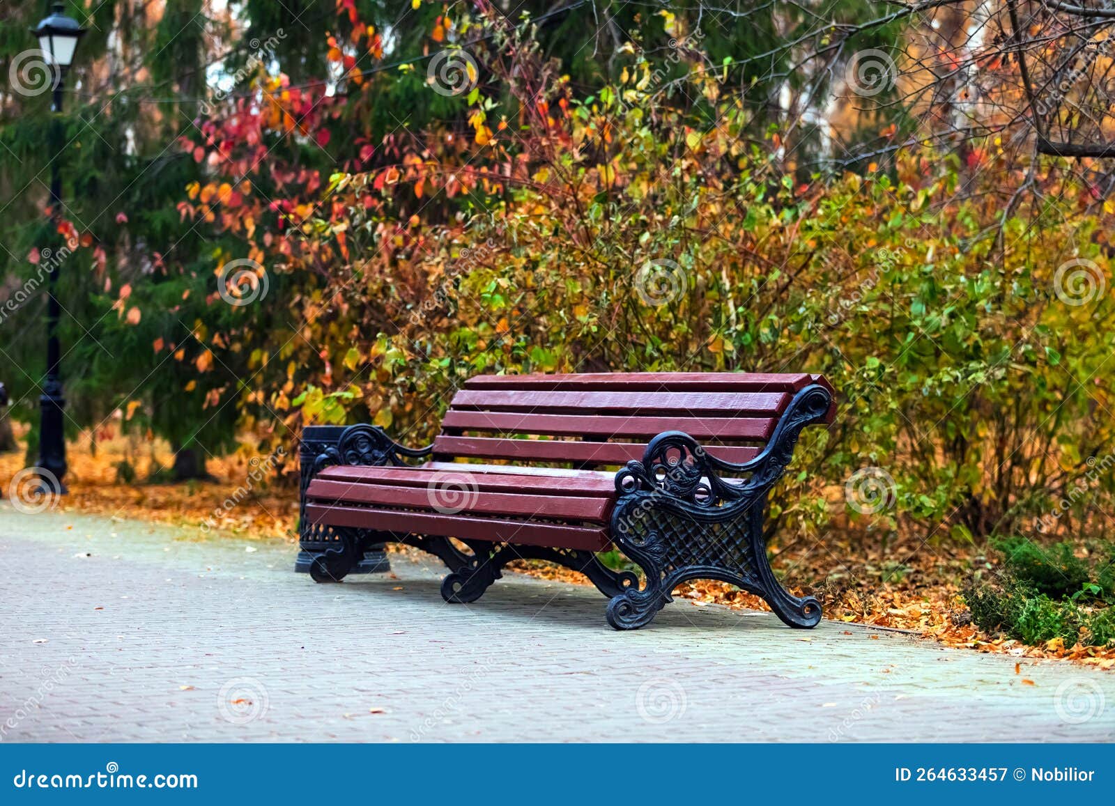Classical bench in a park stock image. Image of forest - 264633457