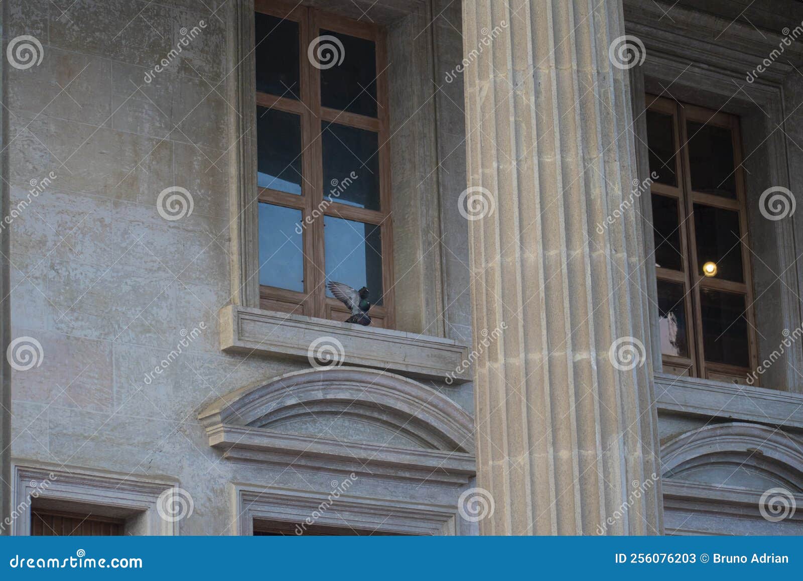 Classical Church Windows with Columns and Birds Stock Image - Image of ...