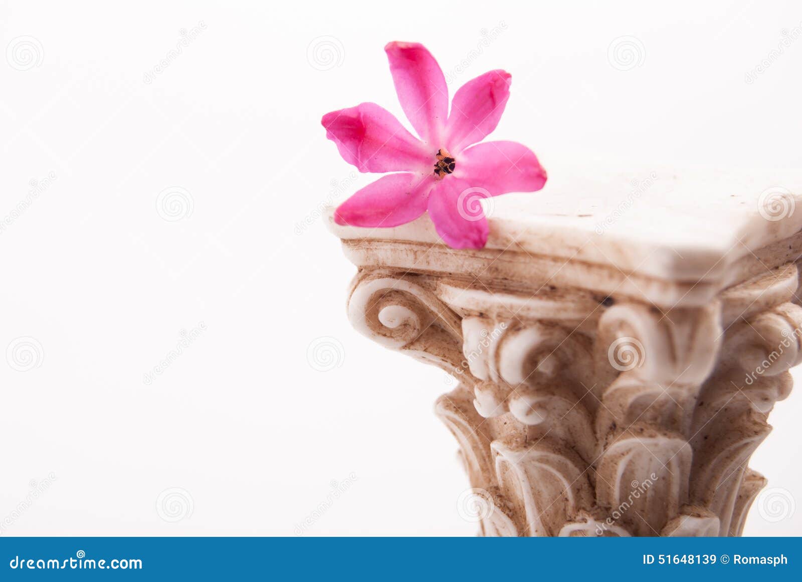 Classical Column with Flower Stock Image - Image of orchid, classical ...