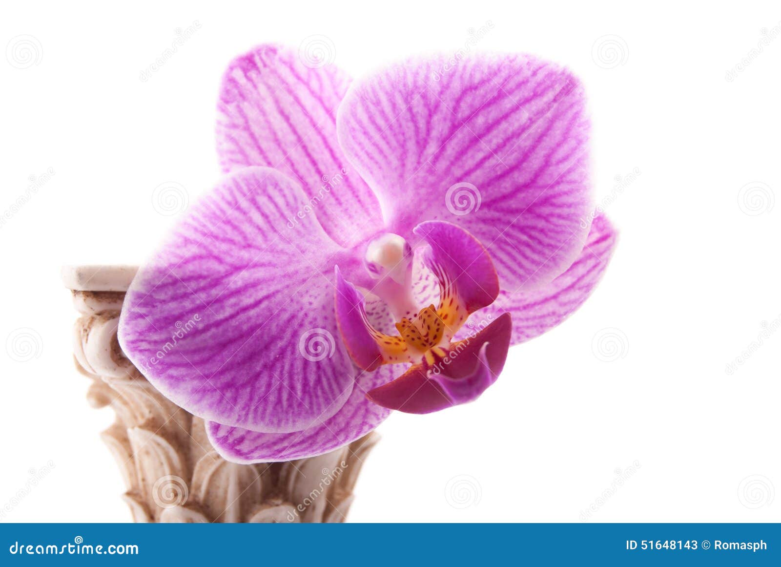 Classical Column with Flower Stock Image - Image of pedestal, durable ...