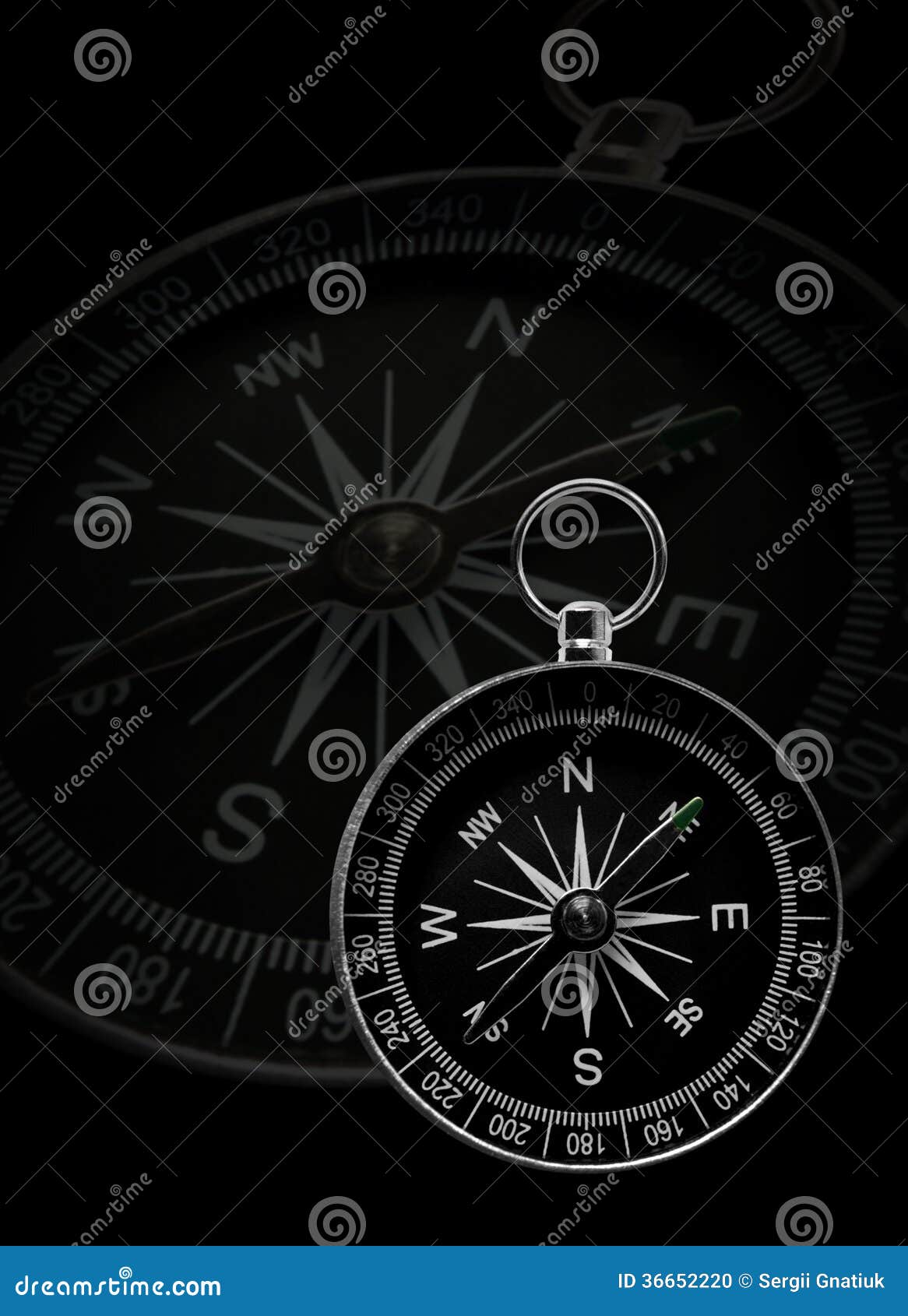 Classical Compass Stock Illustrations – 316 Classical Compass Stock ...