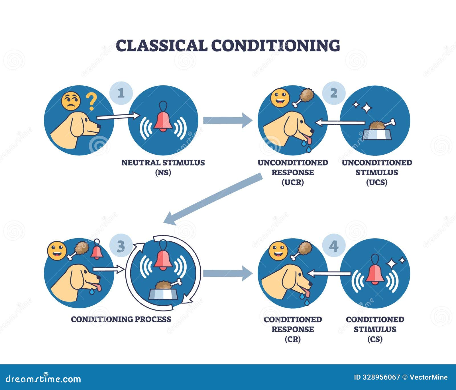 Reflex Arc Explanation With Pain Signals And Receptor Impulse Outline ...