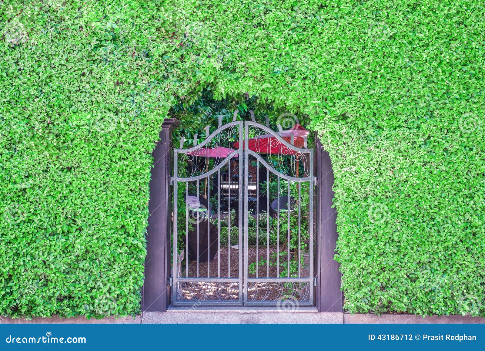 Classical Design Black Wrought Iron Gate in a Beautiful Green Ga Stock ...