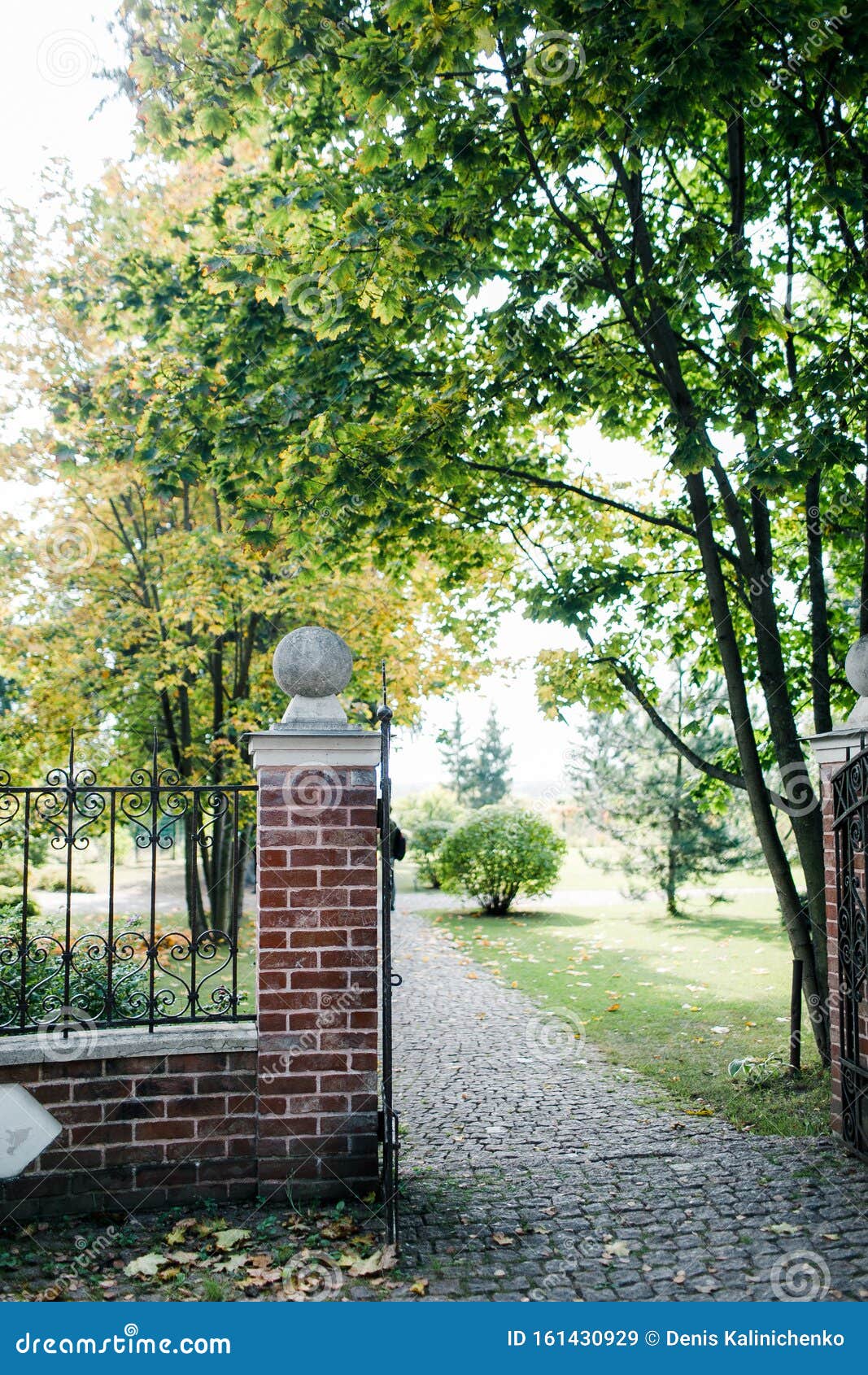 Classical Design Black Wrought Iron Gate in a Beautiful Green Garden ...