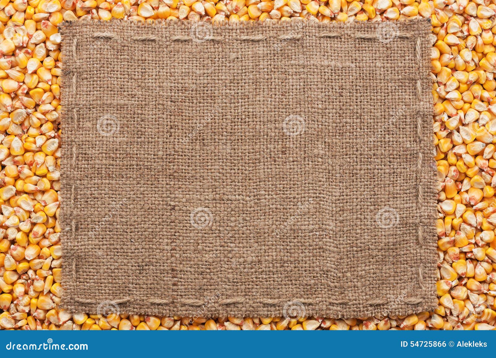 Classical Frame on Corn Grain Stock Photo - Image of energy, frame ...