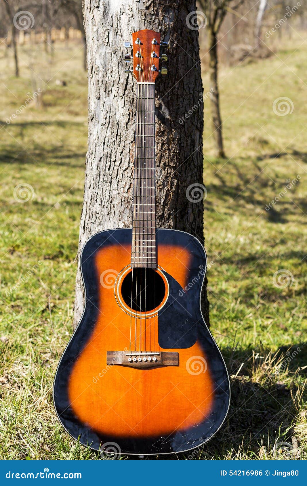 Classical Guitar Leaning Against Tree Stock Photo - Image of field ...