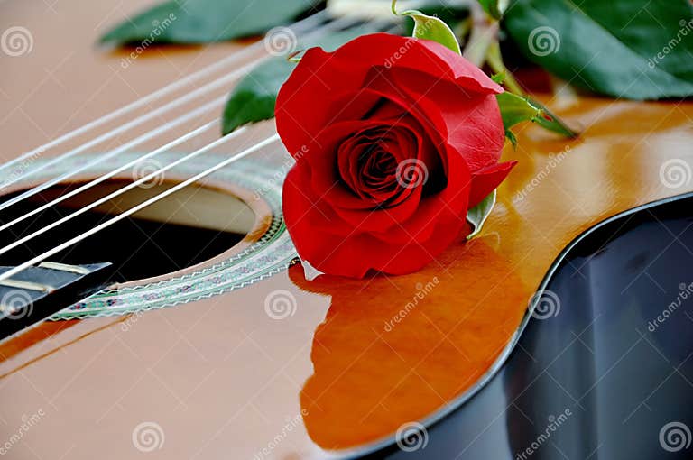 Classical guitar and rose. stock image. Image of song - 9327573