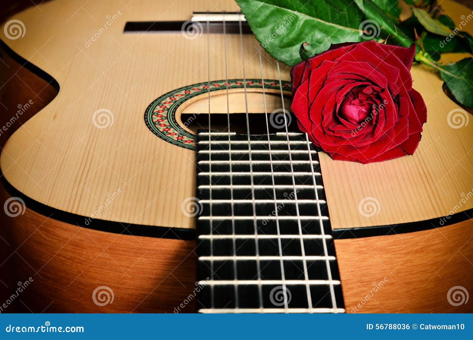 Classical guitar and rose. stock photo. Image of acoustic - 56788036