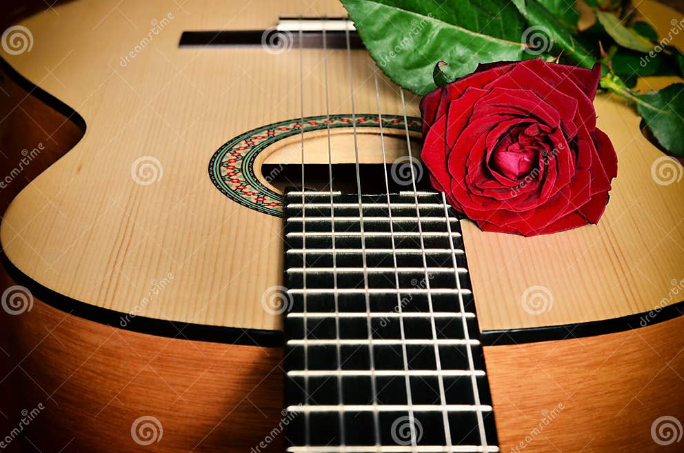 Classical guitar and rose. stock photo. Image of acoustic - 56788036