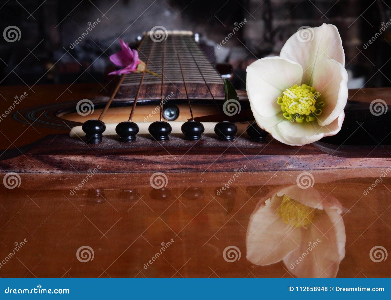 Classical Guitar String and Flowers Stock Photo - Image of music ...