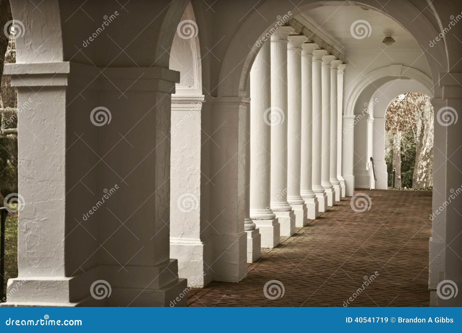 Classical Hall stock image. Image of plaster, column - 40541719