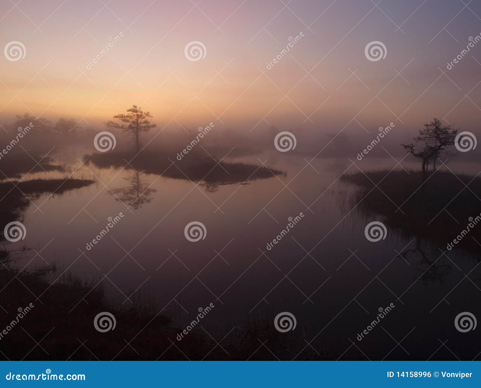 Classical Marsh Landscape, Early Morning Stock Photo - Image of dusk ...