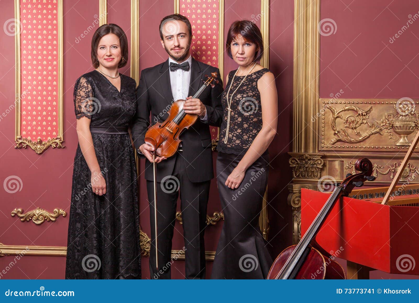 Classical Music Quartet Posing after the Concert. Stock Image - Image ...
